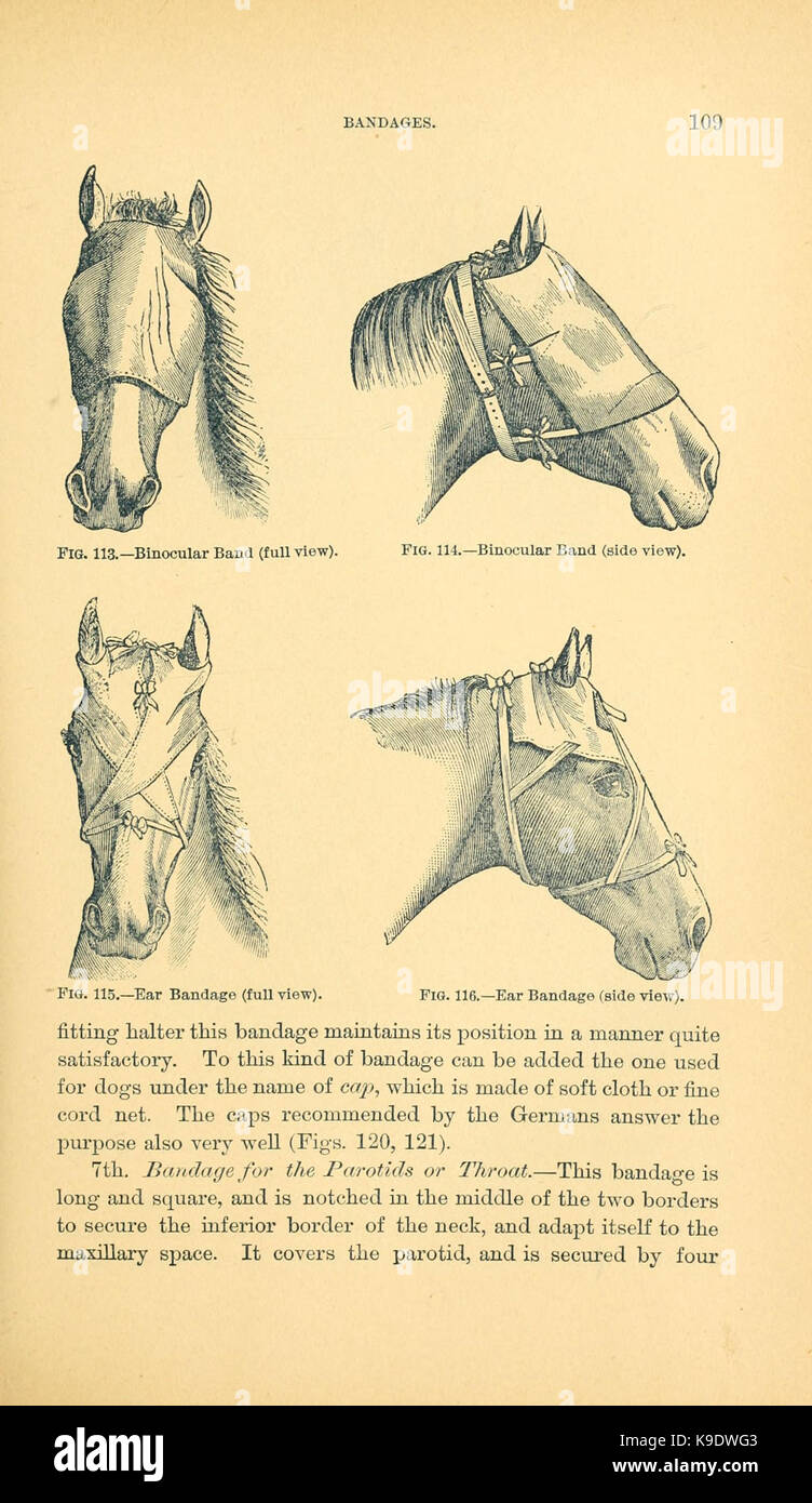 Manual of operative veterinary surgery (Page 109) BHL20475469 Stock ...
