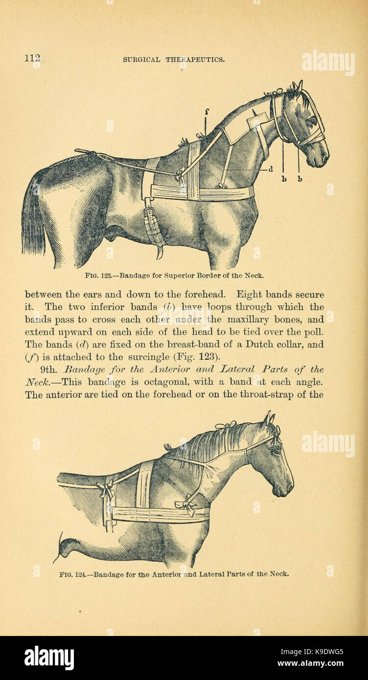 Manual of operative veterinary surgery (Page 112) BHL20475472 Stock ...
