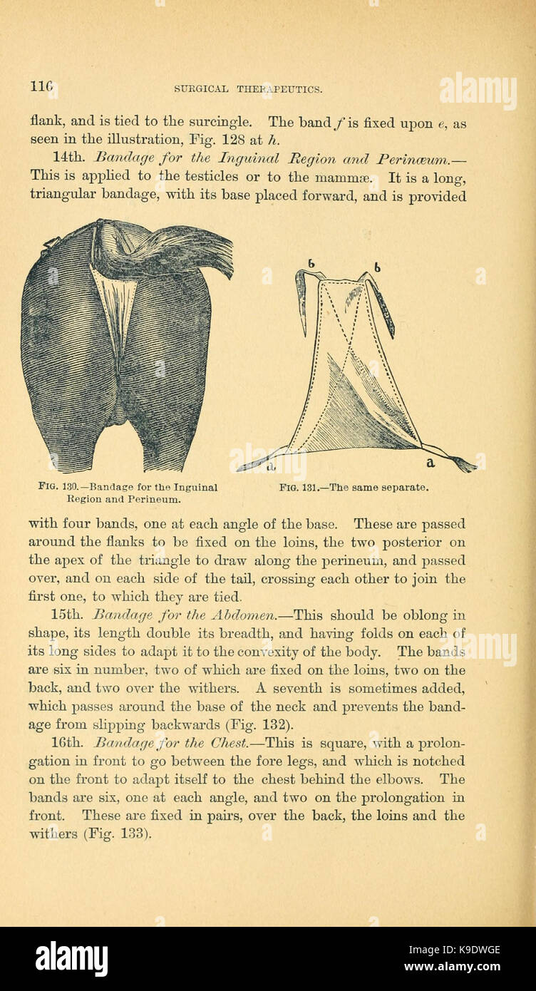 Manual of operative veterinary surgery (Page 116) BHL20475476 Stock ...