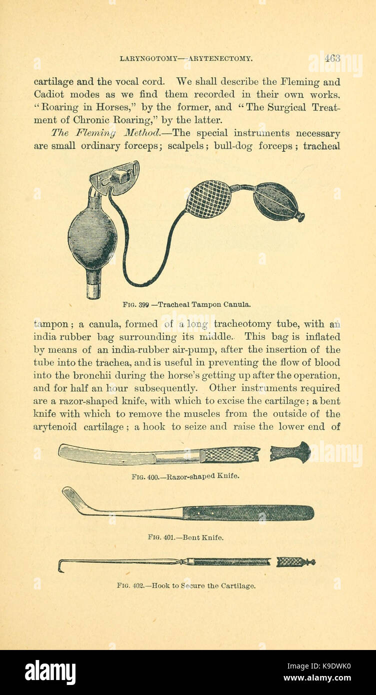 Manual of operative veterinary surgery (Page 463) BHL20475823 Stock ...