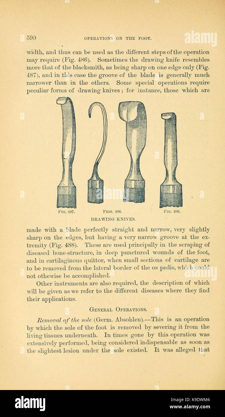 Manual of operative veterinary surgery (Page 590) BHL20475950 Stock ...
