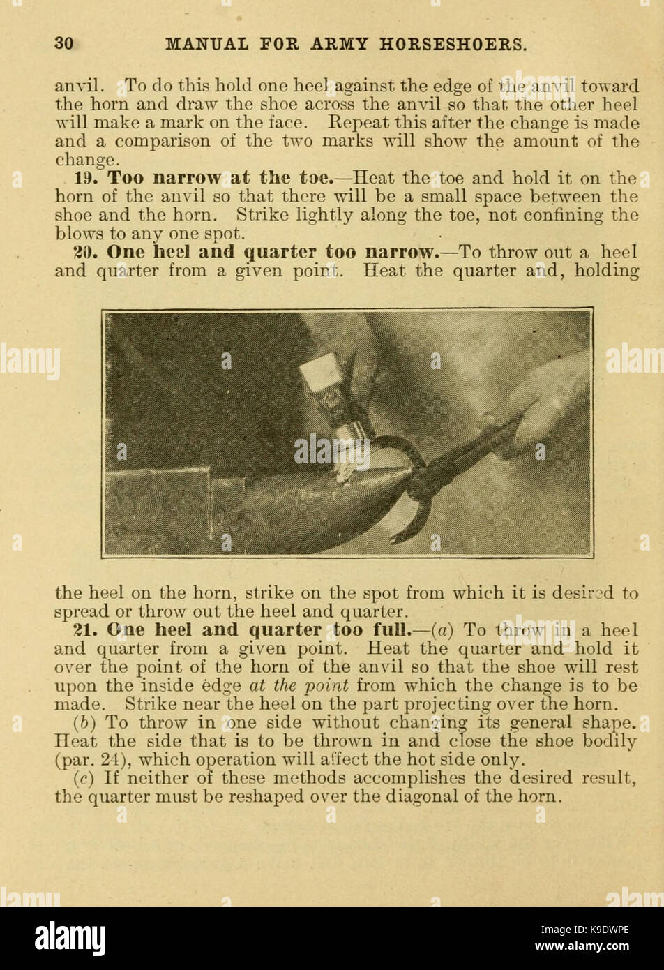 Manual for army horseshoers, 1917 (Page 30) BHL16954779 Stock Photo - Alamy