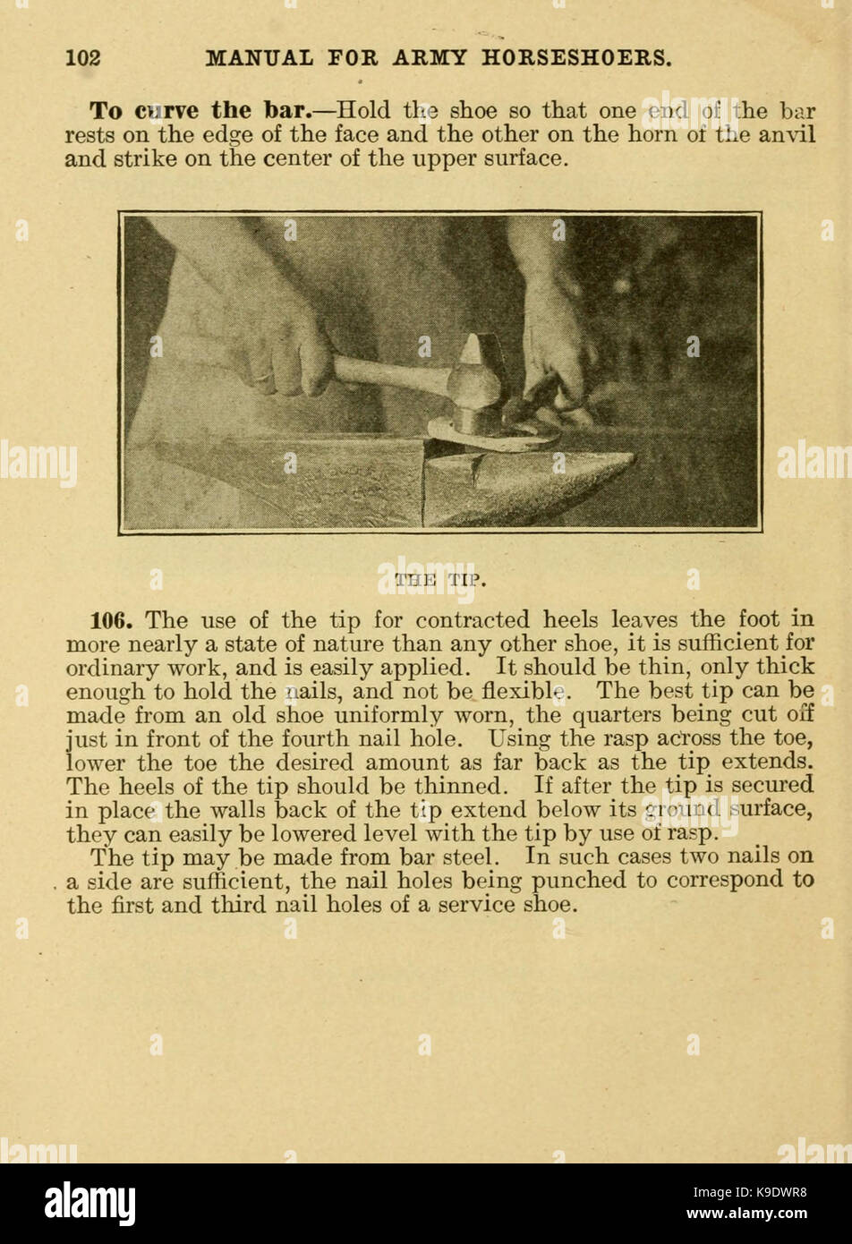 Manual for army horseshoers, 1917 (Page 102) BHL16954872 Stock Photo ...
