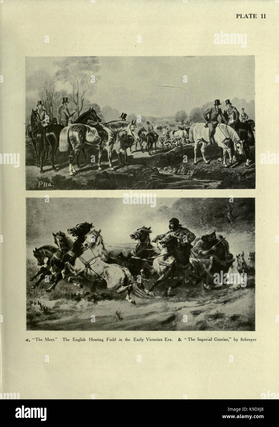 Horse management methods hi-res stock photography and images - Alamy