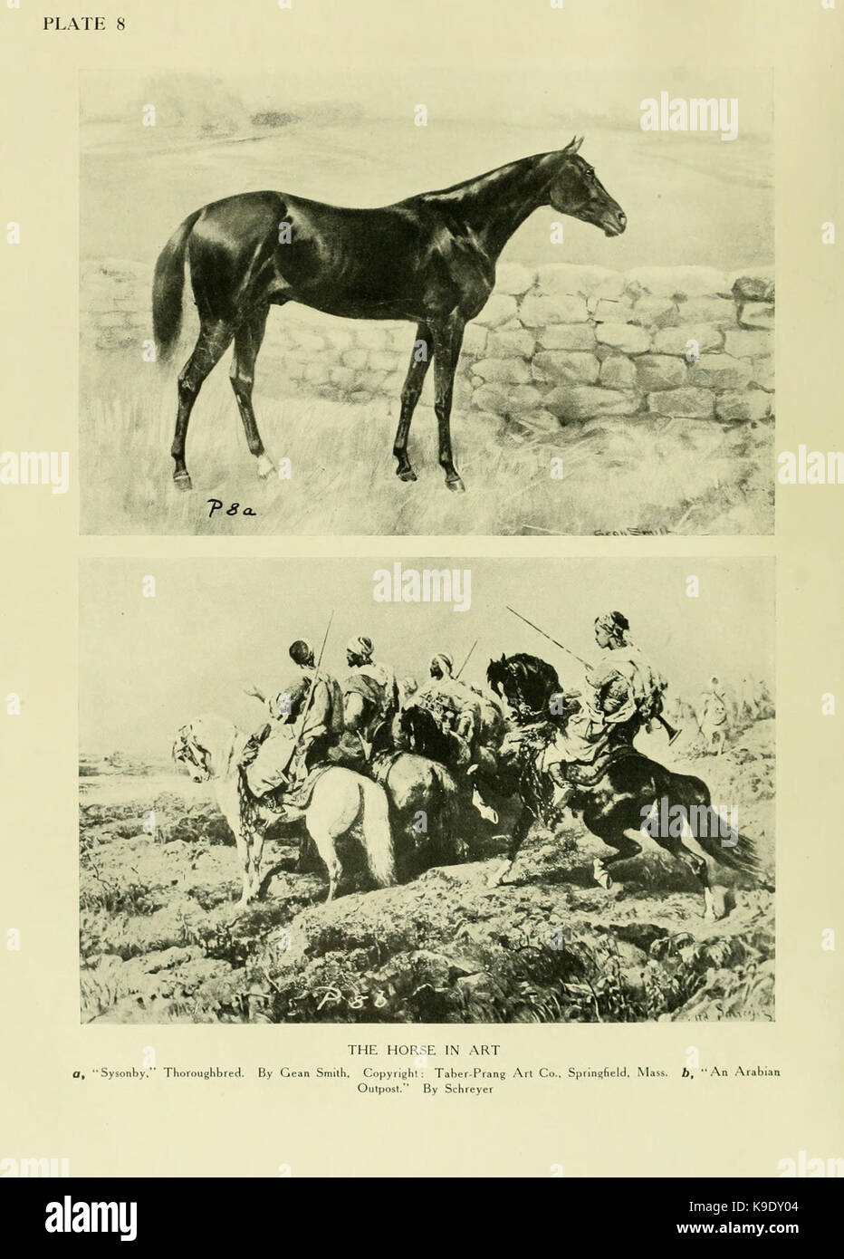 ‘Modern Horse Management’ provides contemporary practices and ...