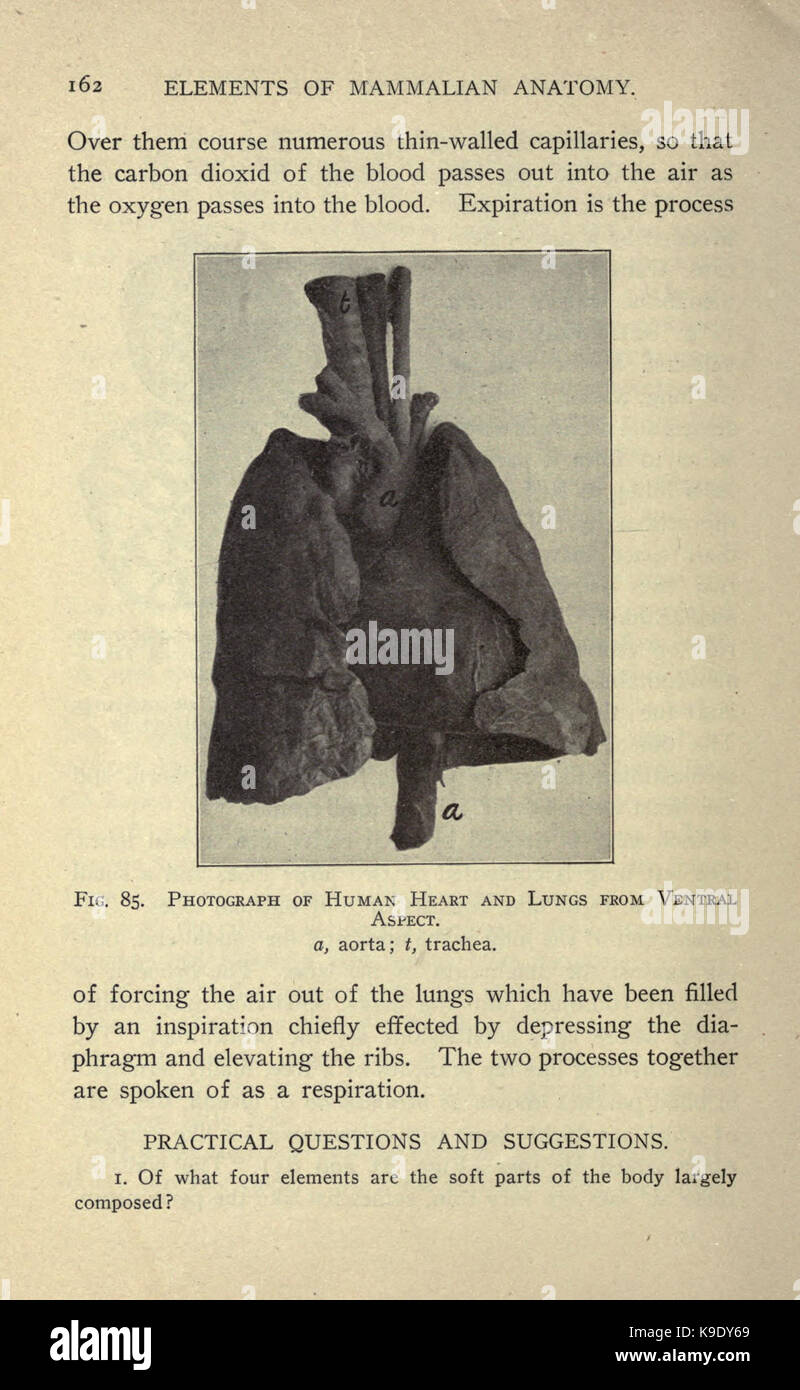 Book cover page drawing hi-res stock photography and images - Alamy