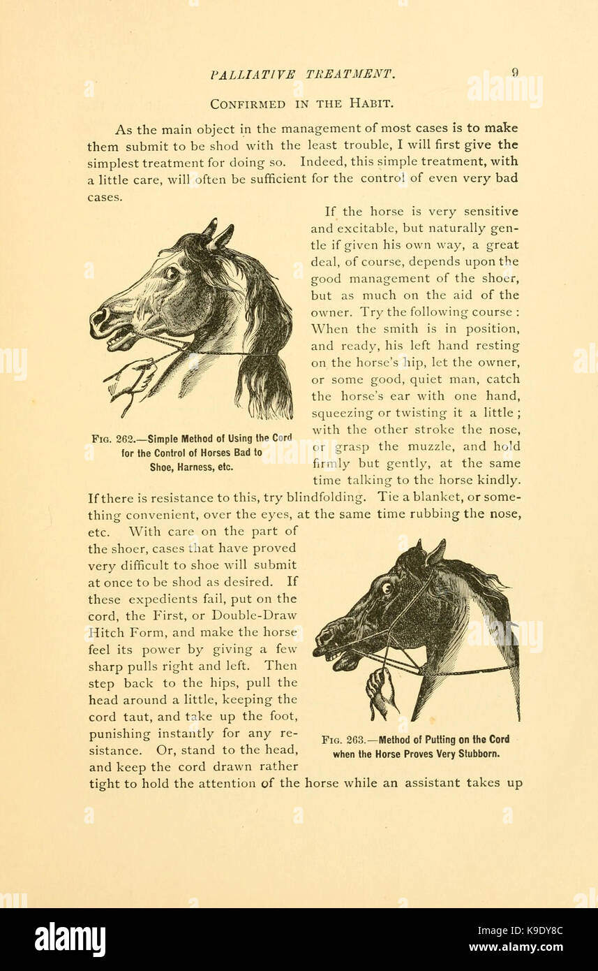 Magner's ABC guide to sensible horseshoeing (Page 9) BHL16785592 Stock ...