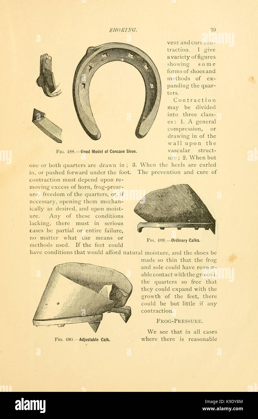 Magner's ABC guide to sensible horseshoeing (Page 39) BHL16785576 Stock ...