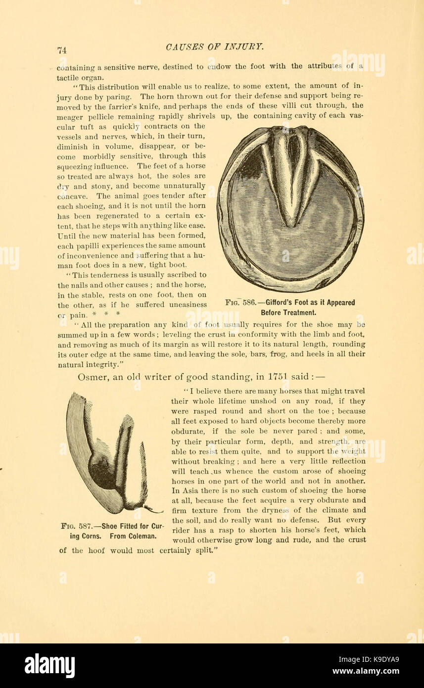Magner's ABC guide to sensible horseshoeing (Page 74) BHL16785630 Stock ...