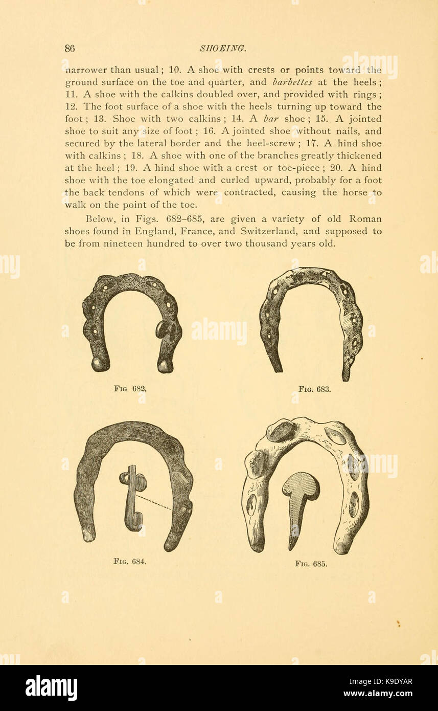 Magner's ABC guide to sensible horseshoeing (Page 86) BHL16785642 Stock ...