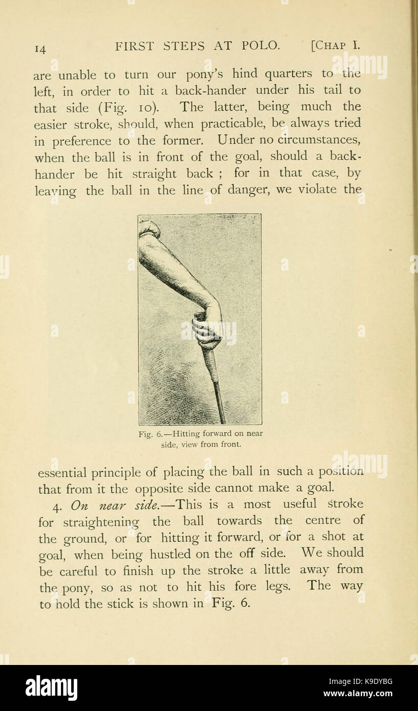 Polo game analysis hi-res stock photography and images - Alamy