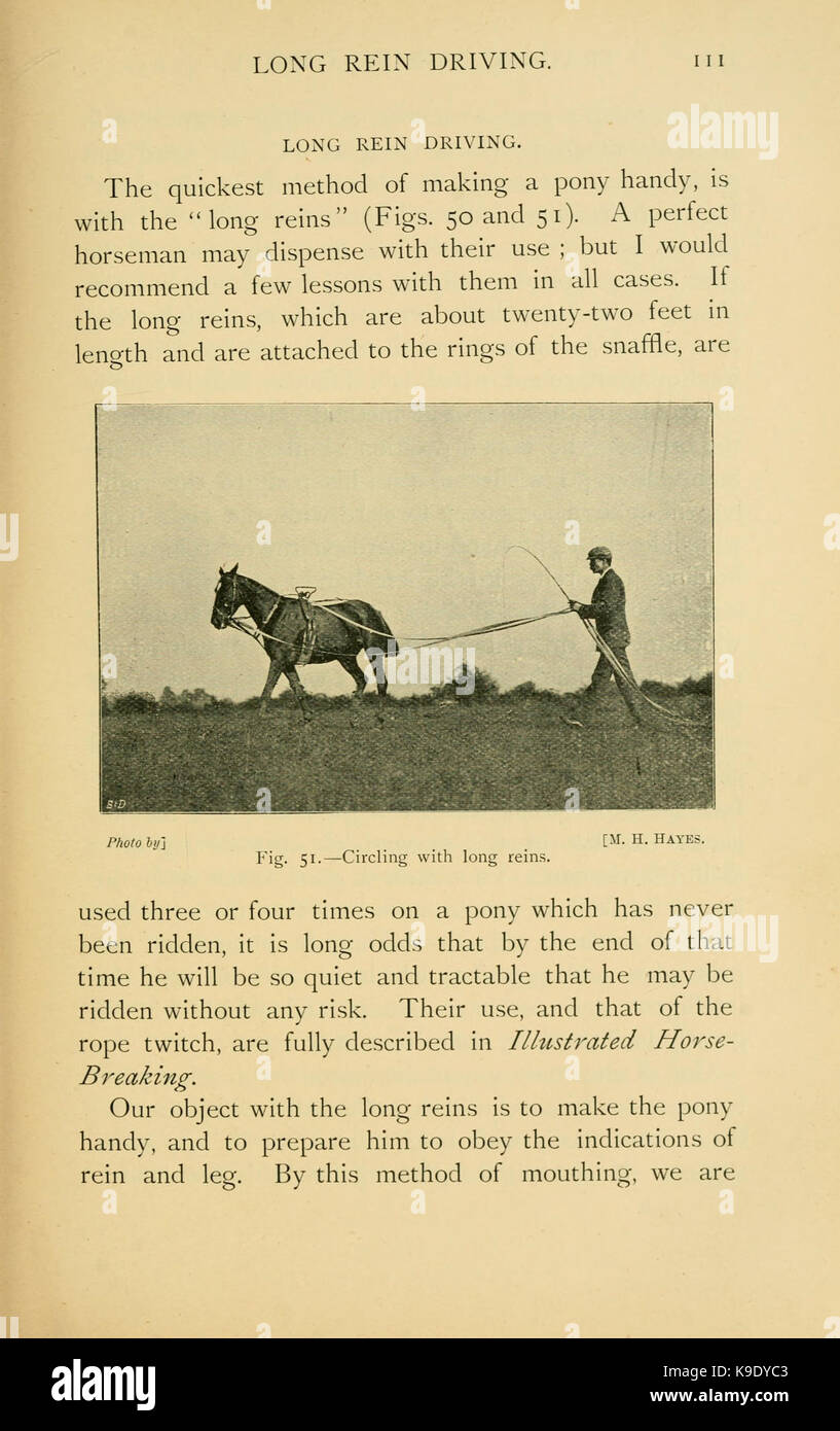 Modern polo (Page 111) BHL21203898 Stock Photo - Alamy