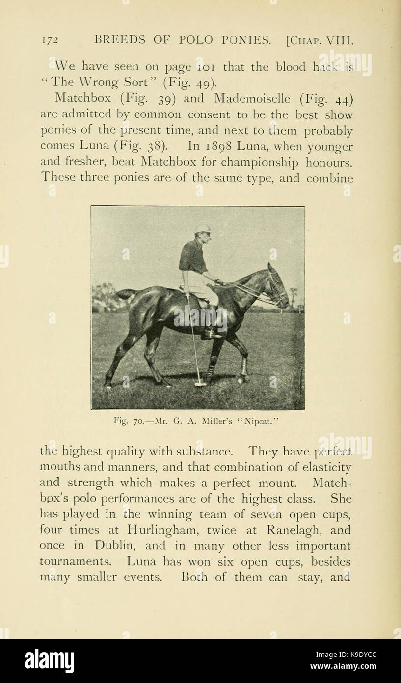 Modern polo (Page 172) BHL21203959 Stock Photo - Alamy
