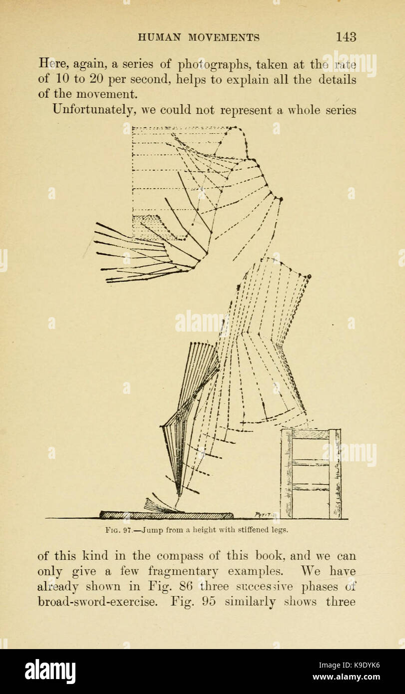 Movement (Page 143) BHL16996585 Stock Photo - Alamy