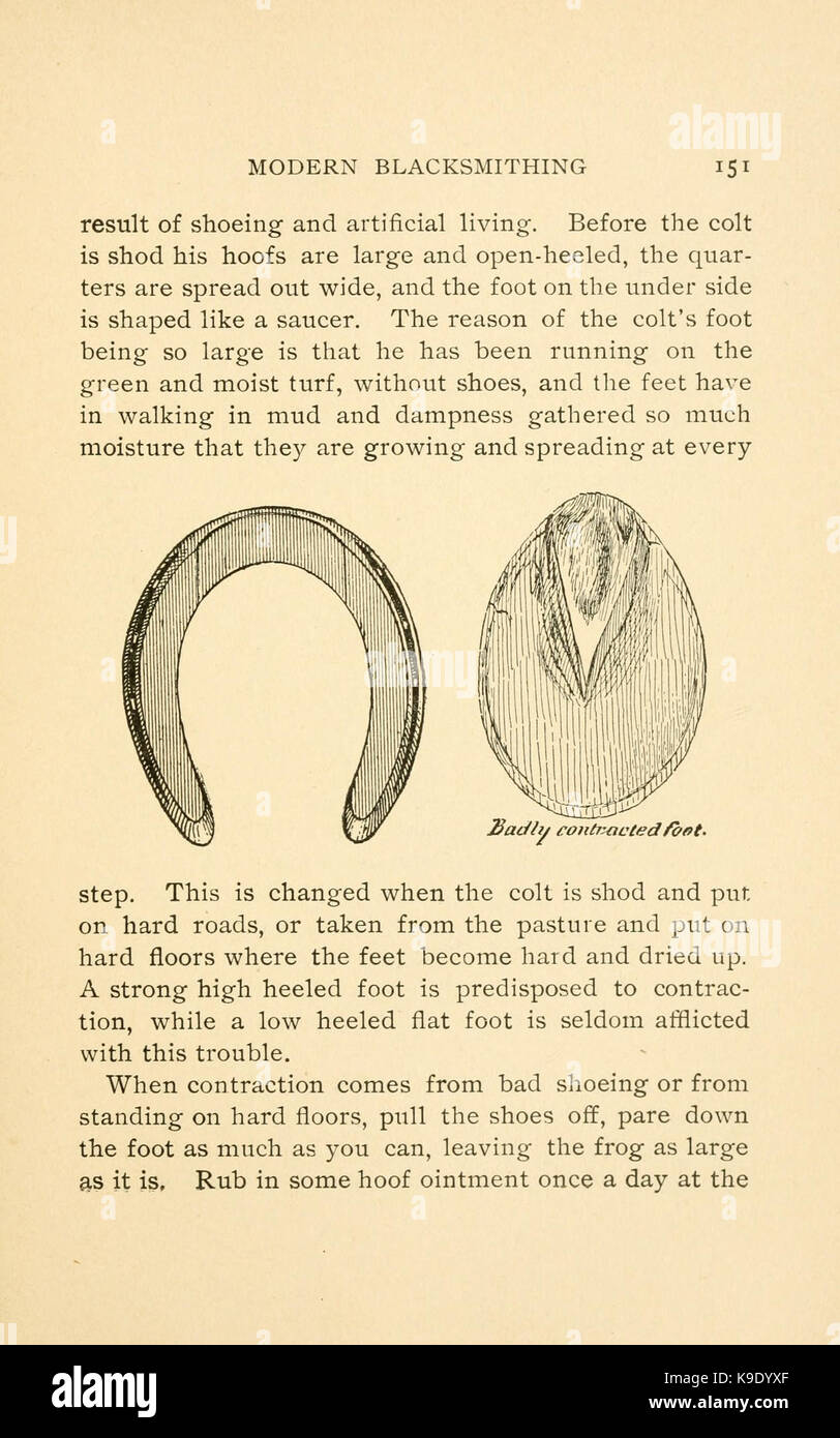 Modern blacksmithing (Page 151) BHL16810434 Stock Photo - Alamy