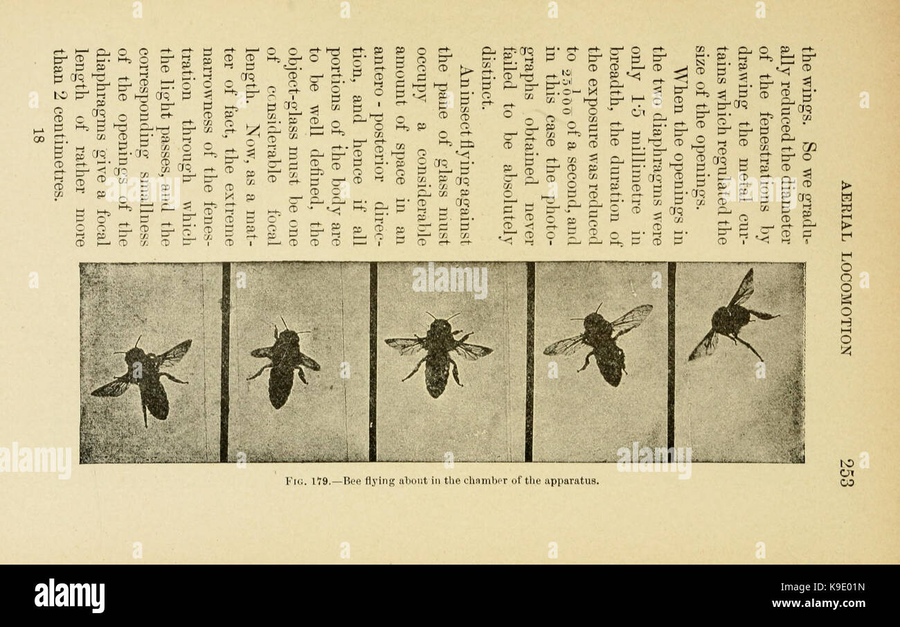 This page from a work titled *Movement* explores themes of motion and ...