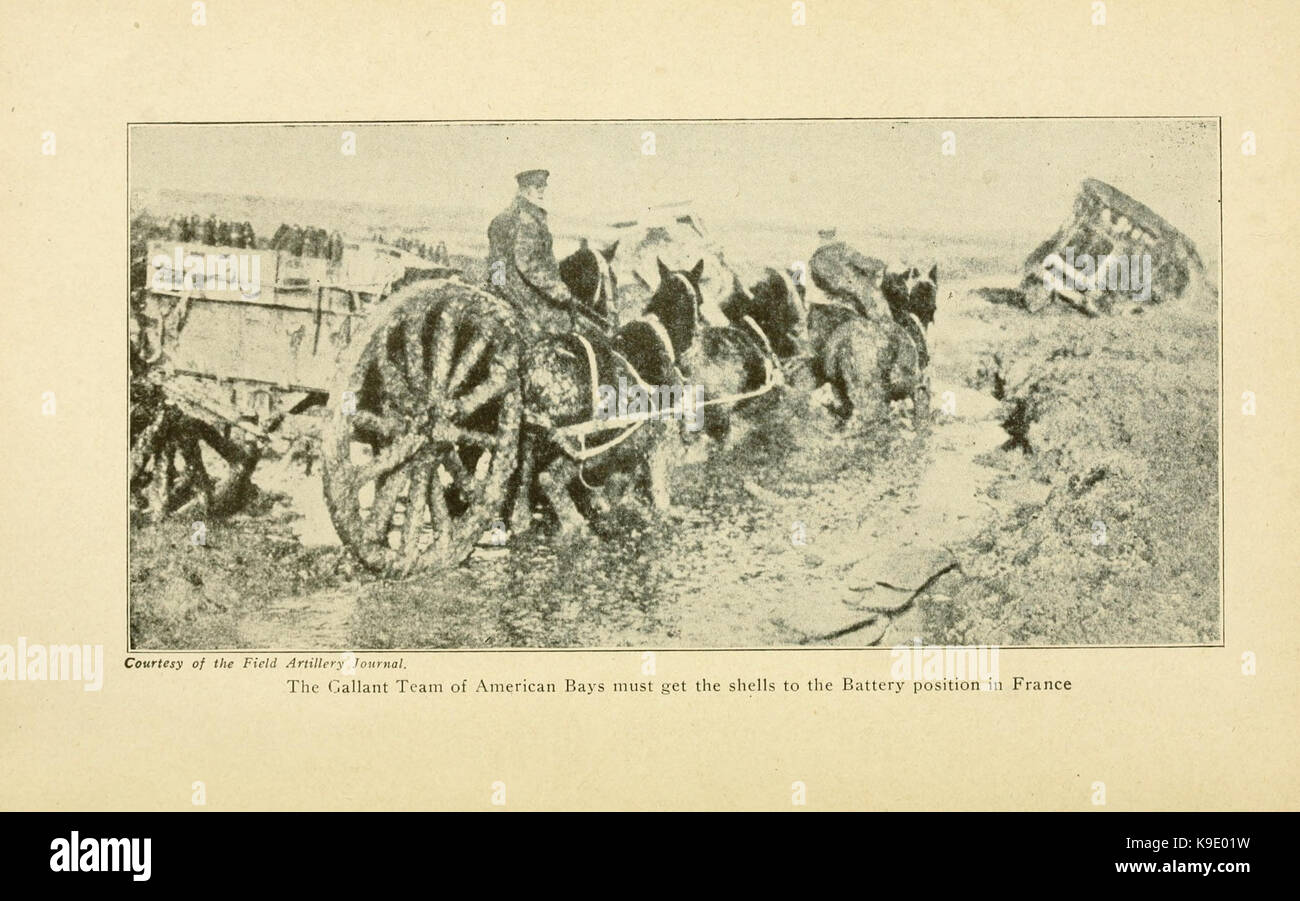 Formation instruction hi-res stock photography and images - Alamy