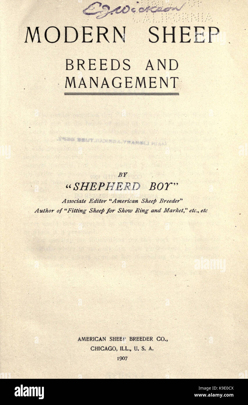 Modern sheep, breeds and management BHL21819113 Stock Photo - Alamy