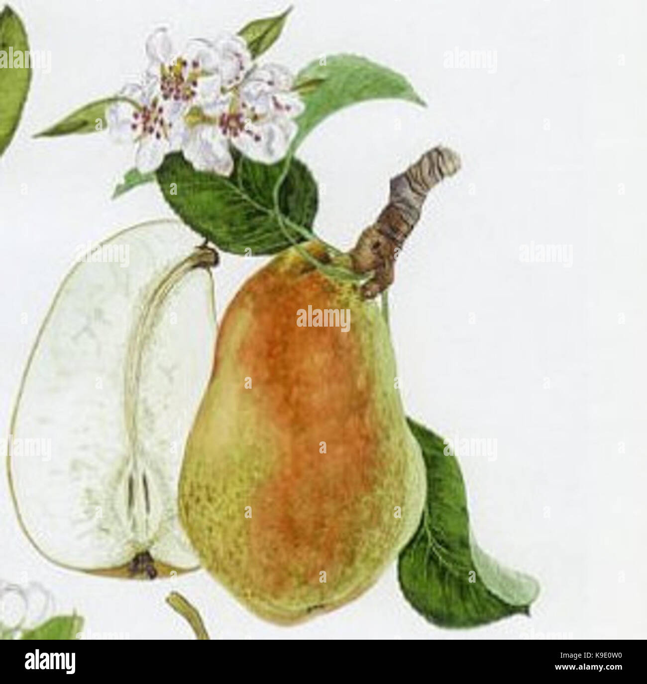 Marguerite Marillat was a renowned individual whose work or ...
