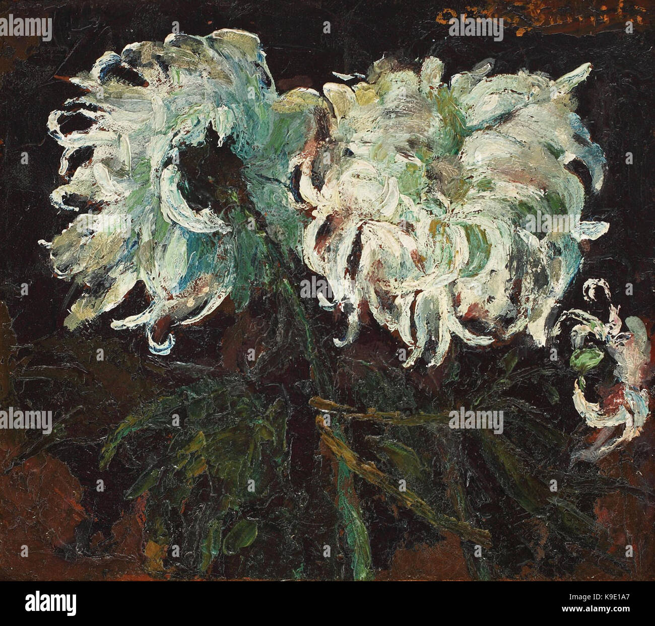 Octav Bancila Dalii albe Stock Photo - Alamy