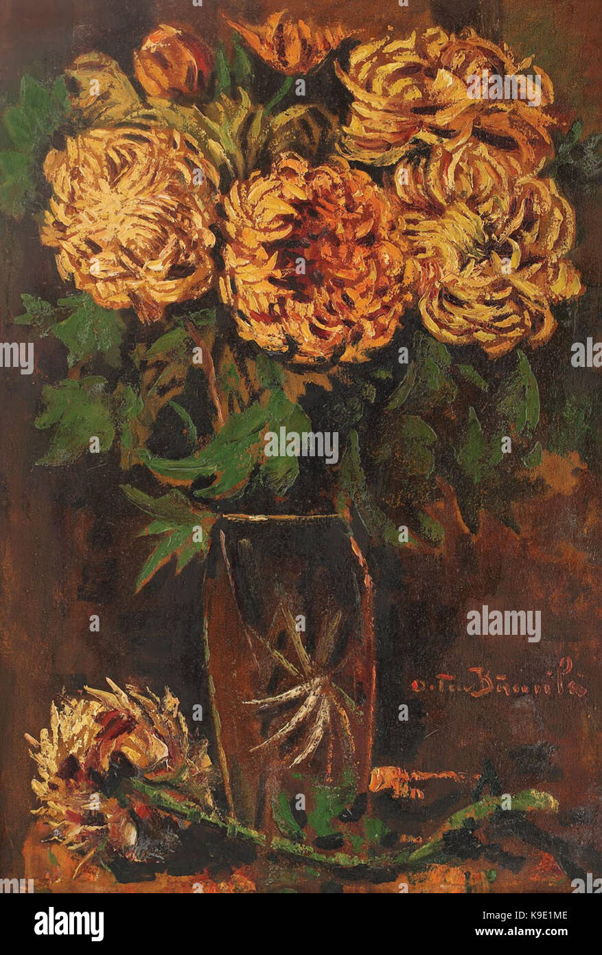 Crizanteme hi-res stock photography and images - Alamy