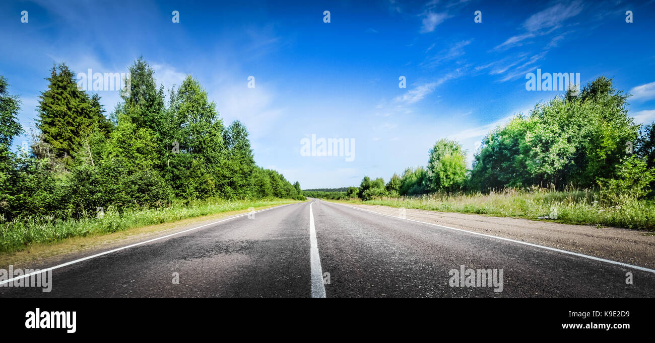 Beautiful road panorama in forest Stock Photo - Alamy