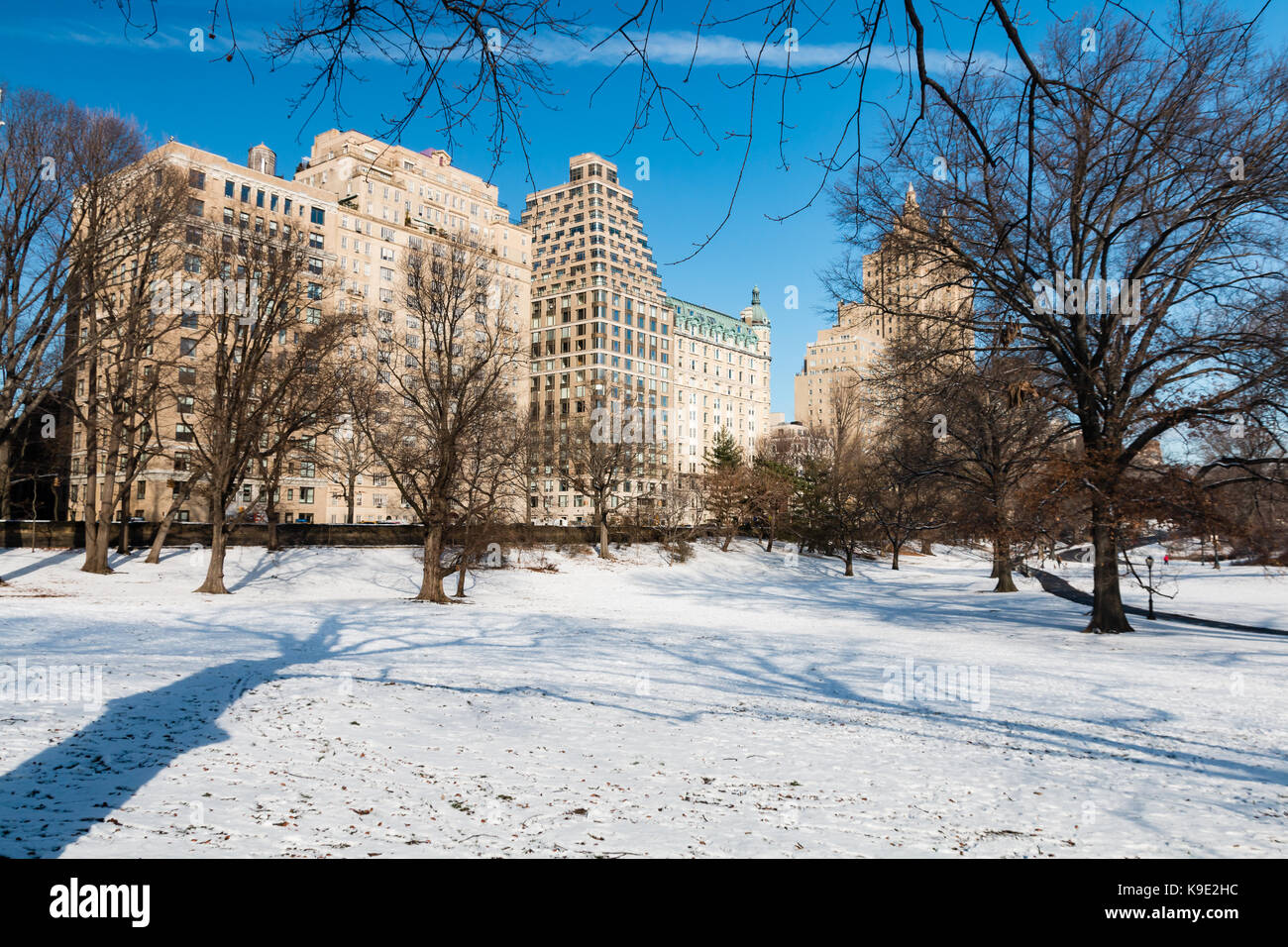 New York's Central park during winter snowfall Stock Photo - Alamy