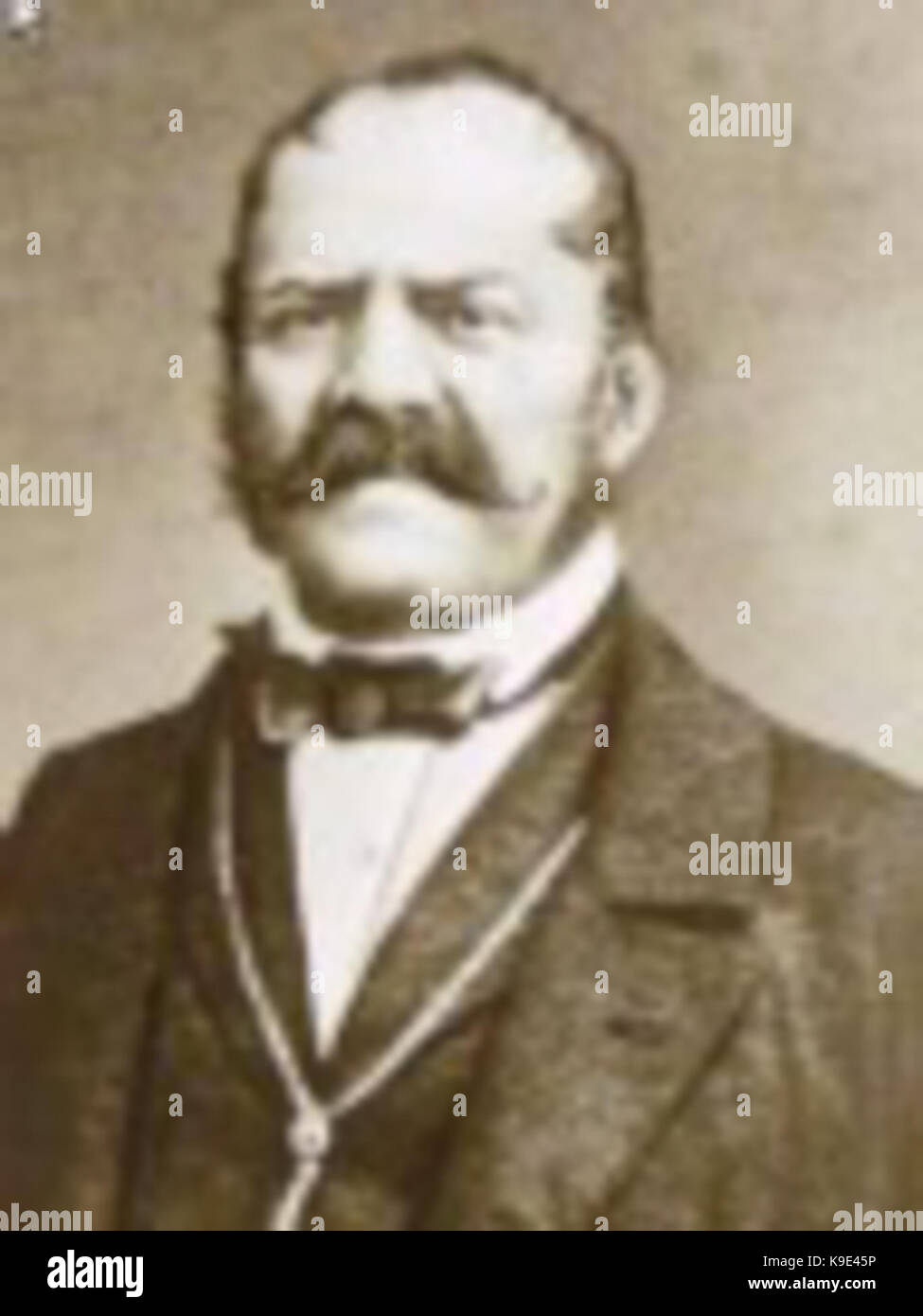 Martin Hassek portrait Stock Photo - Alamy