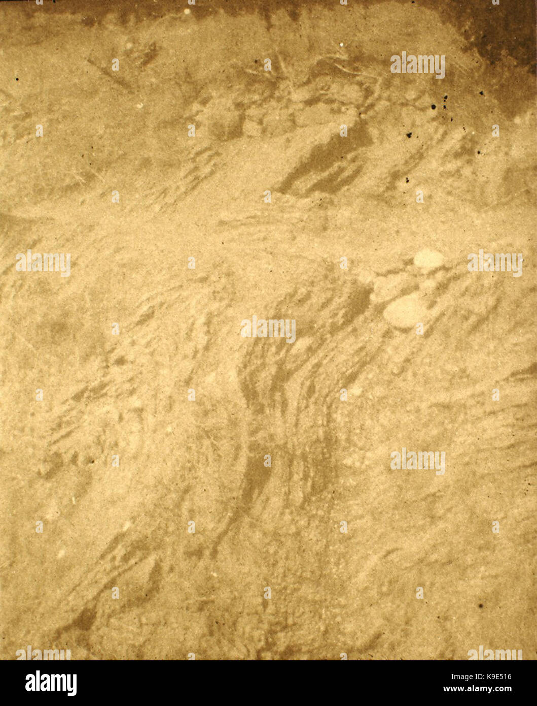 Nopcsa hi-res stock photography and images - Alamy