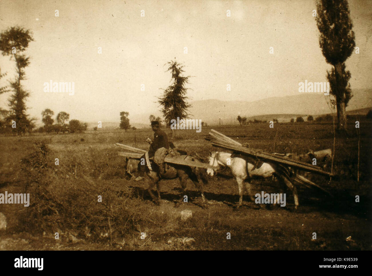 Nopcsa hi-res stock photography and images - Alamy