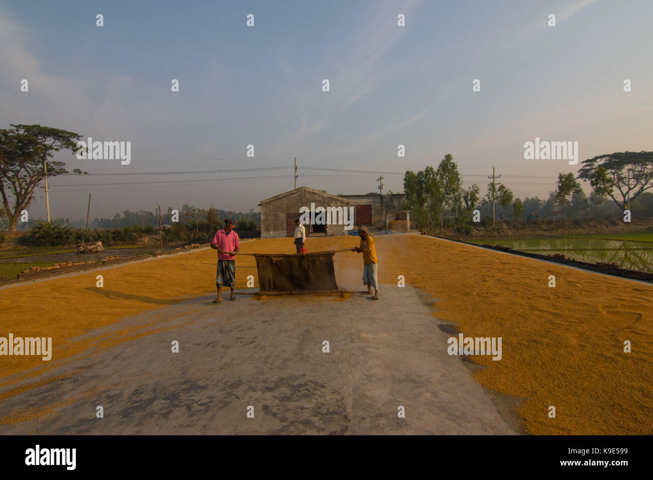 Paddy boiling hi-res stock photography and images - Alamy