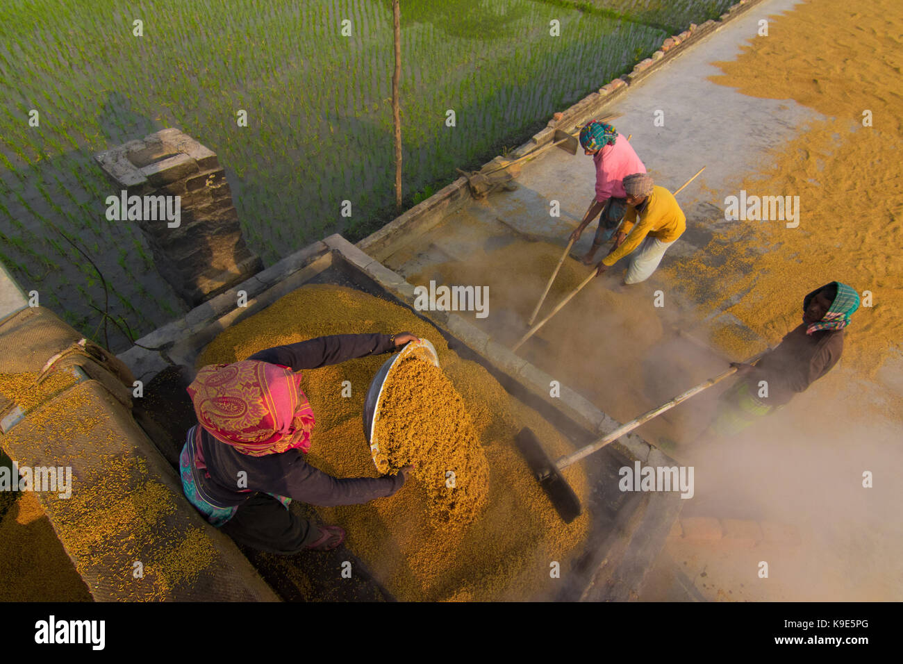 Paddy boiling hi-res stock photography and images - Alamy
