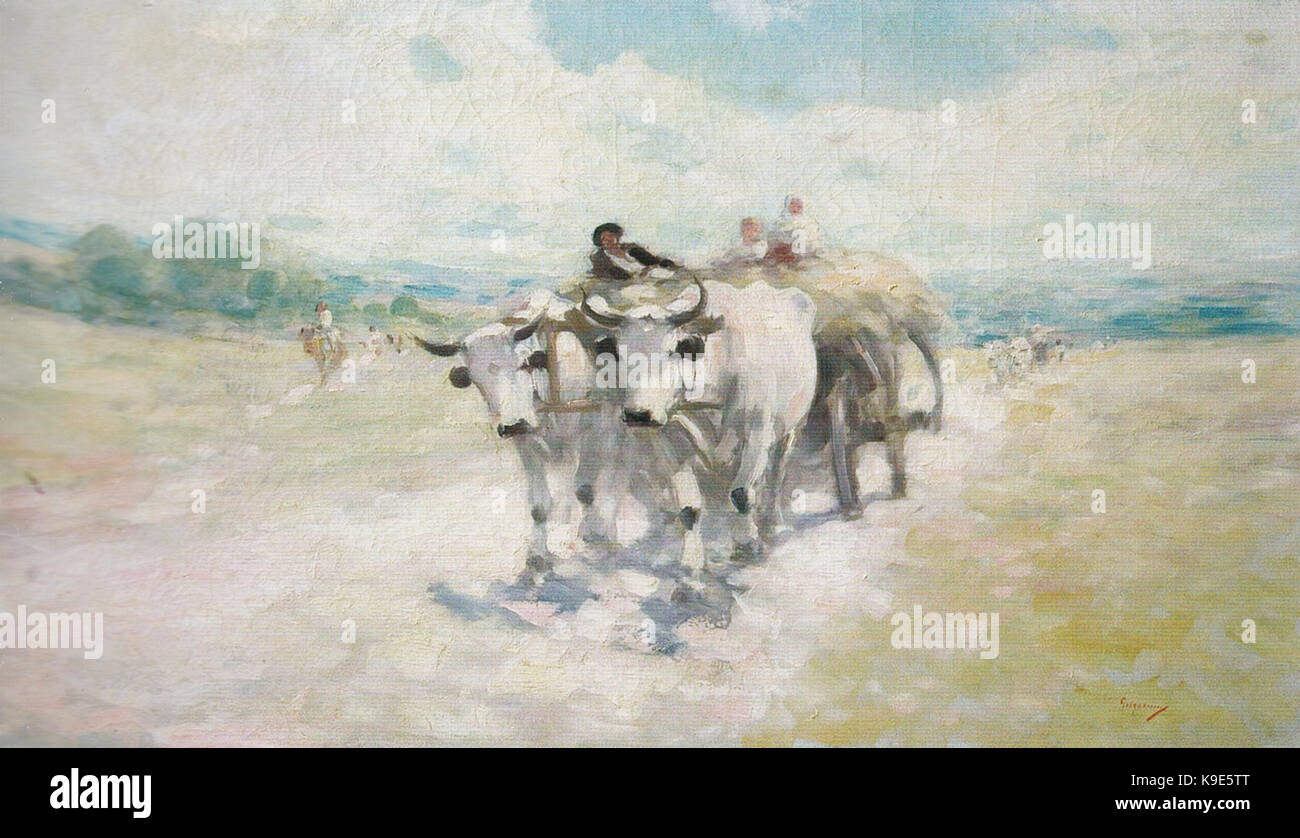 Car cu boi hi-res stock photography and images - Alamy