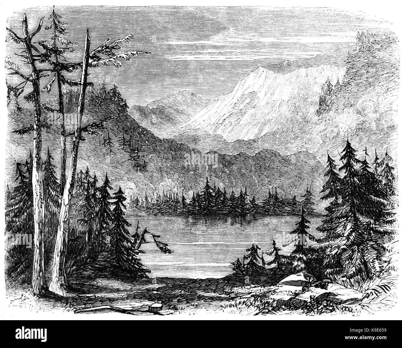 Once A Week Volume 2 0123 Stock Photo - Alamy