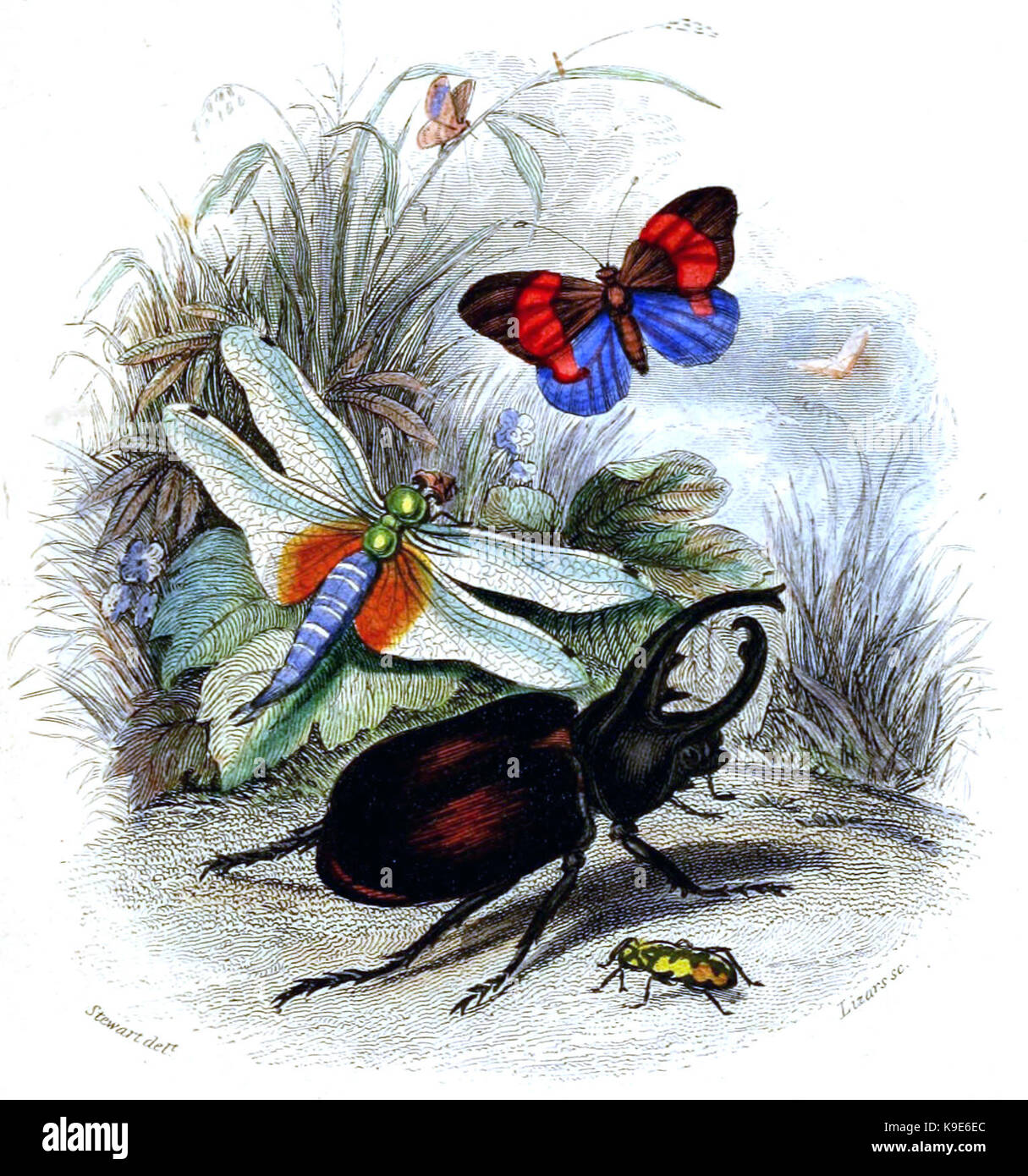 Title image Cut Out Stock Images & Pictures - Alamy