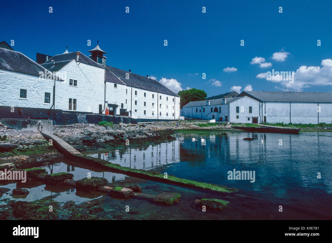 Laphroaig Distillery, Islay, Scotland, UK Stock Photo - Alamy