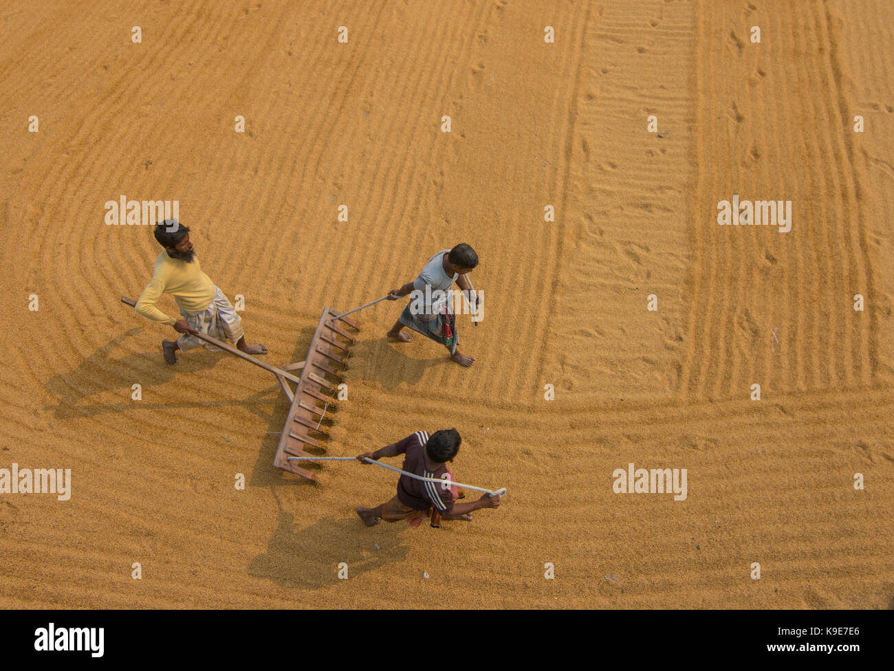 Paddy boiling hi-res stock photography and images - Alamy