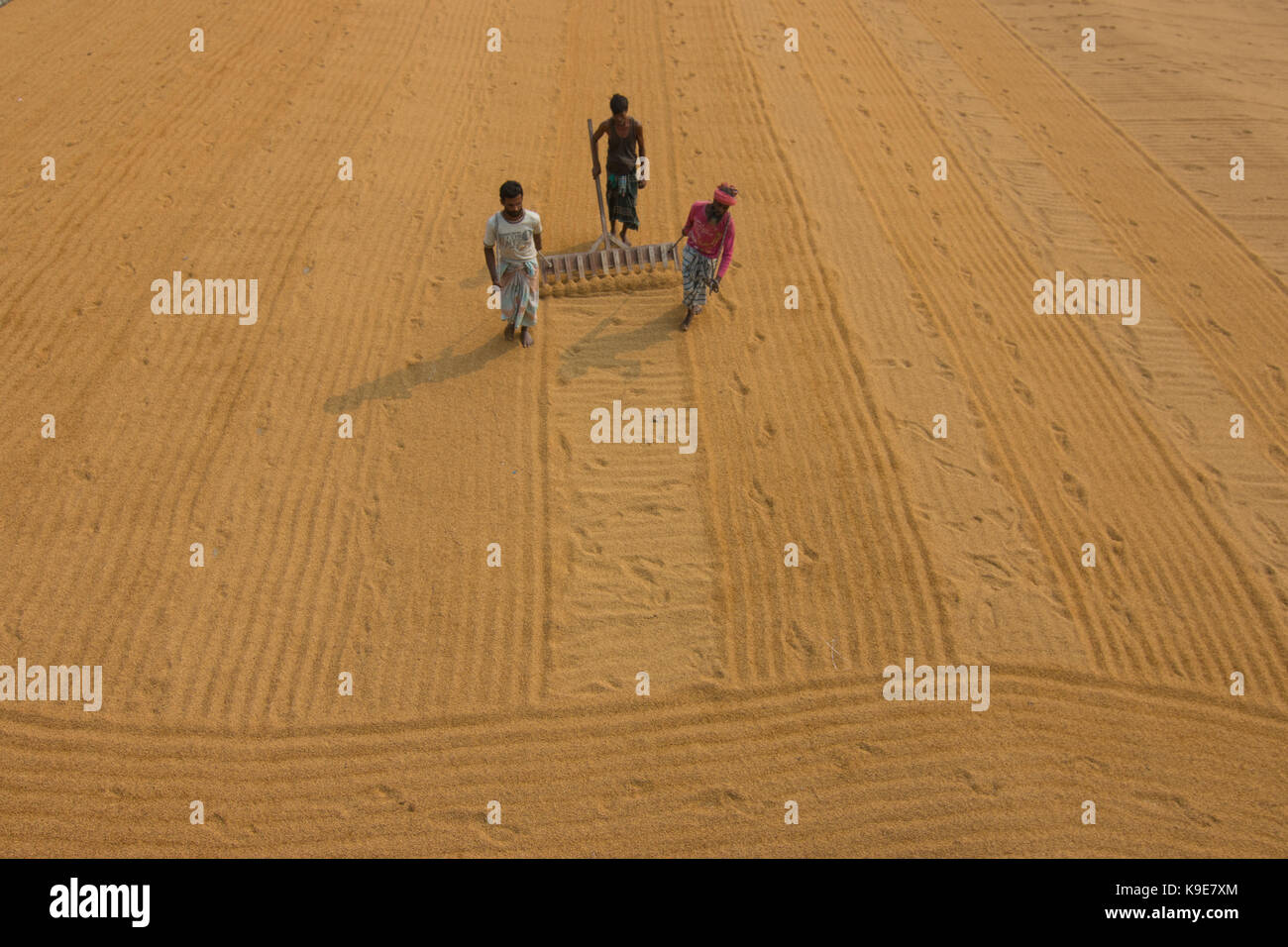 Paddy boiling hi-res stock photography and images - Alamy