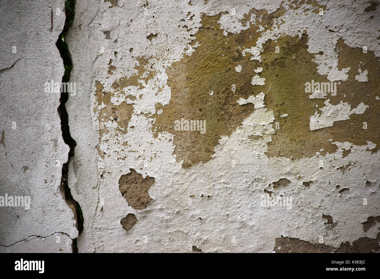 The close up of a wall with a chipped plaster layer Stock Photo - Alamy