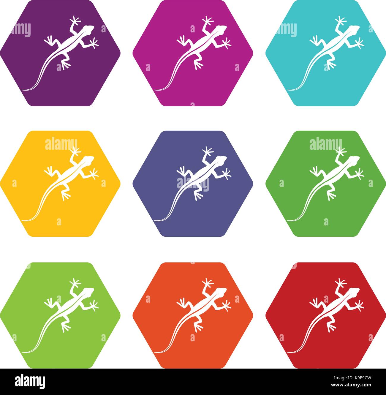 Lizard icon set color hexahedron Stock Vector Image & Art - Alamy