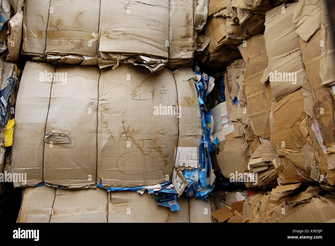 bales of paper and cardboard for recycling Stock Photo - Alamy