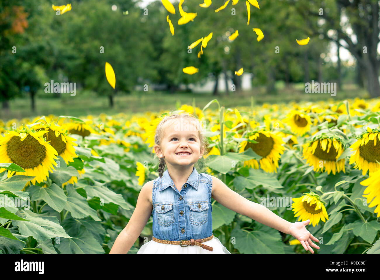 Fall wedding style hi-res stock photography and images - Alamy