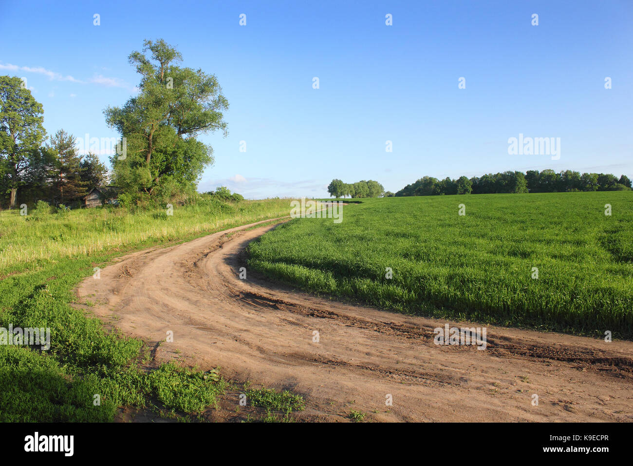 Summer farm hi-res stock photography and images - Alamy