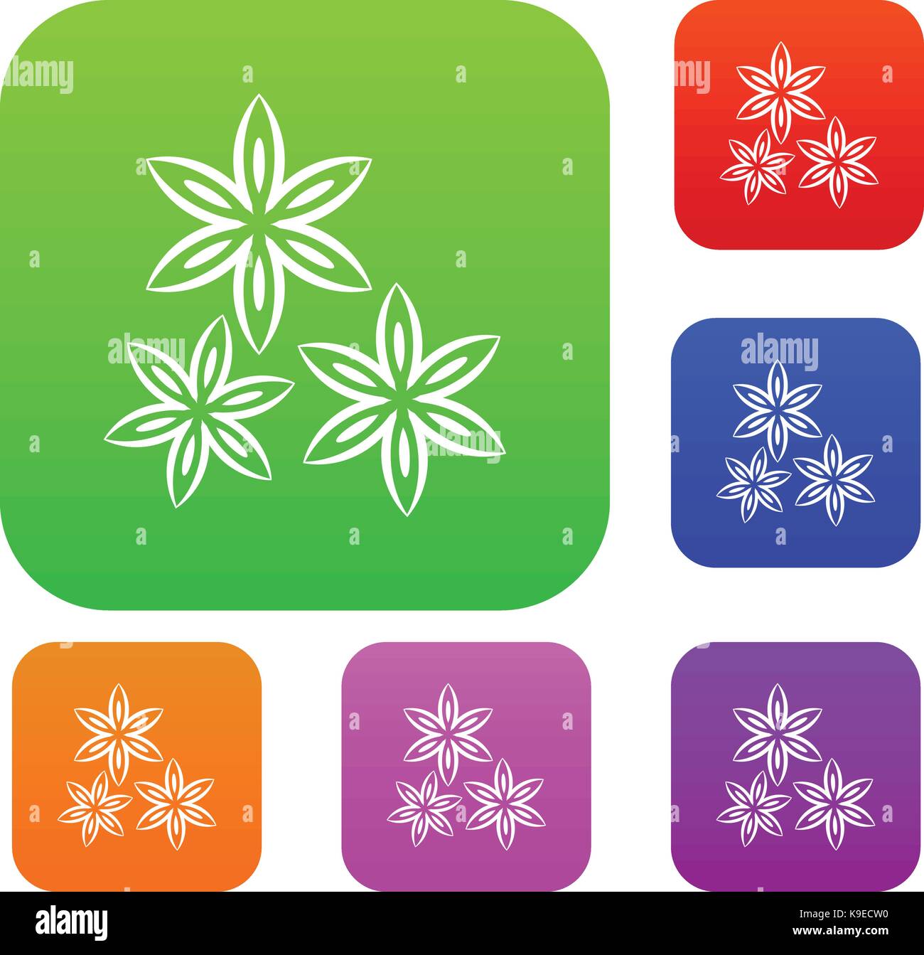 Star anise set color collection Stock Vector Image & Art - Alamy