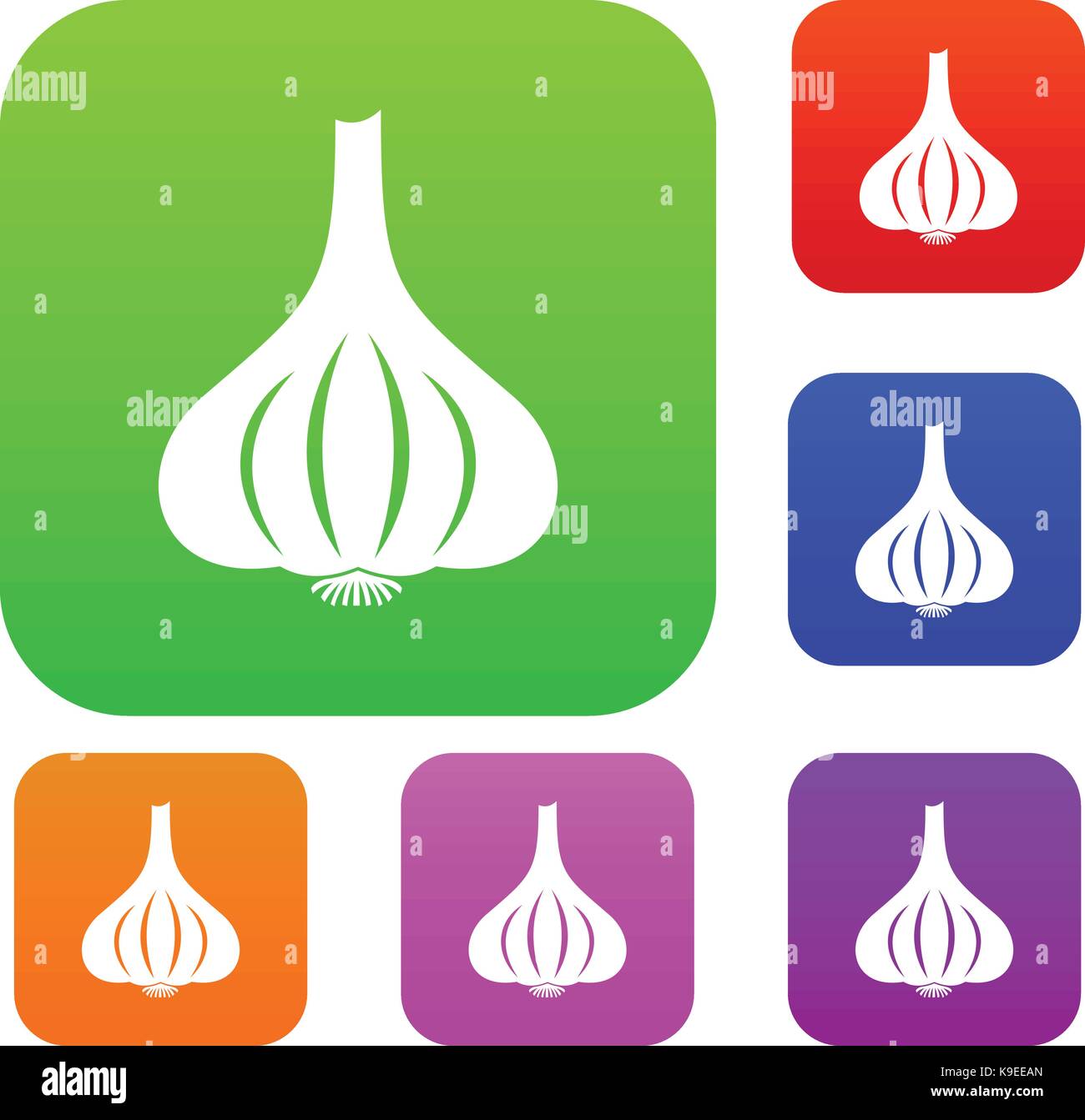 Garlic set color collection Stock Vector Image & Art - Alamy