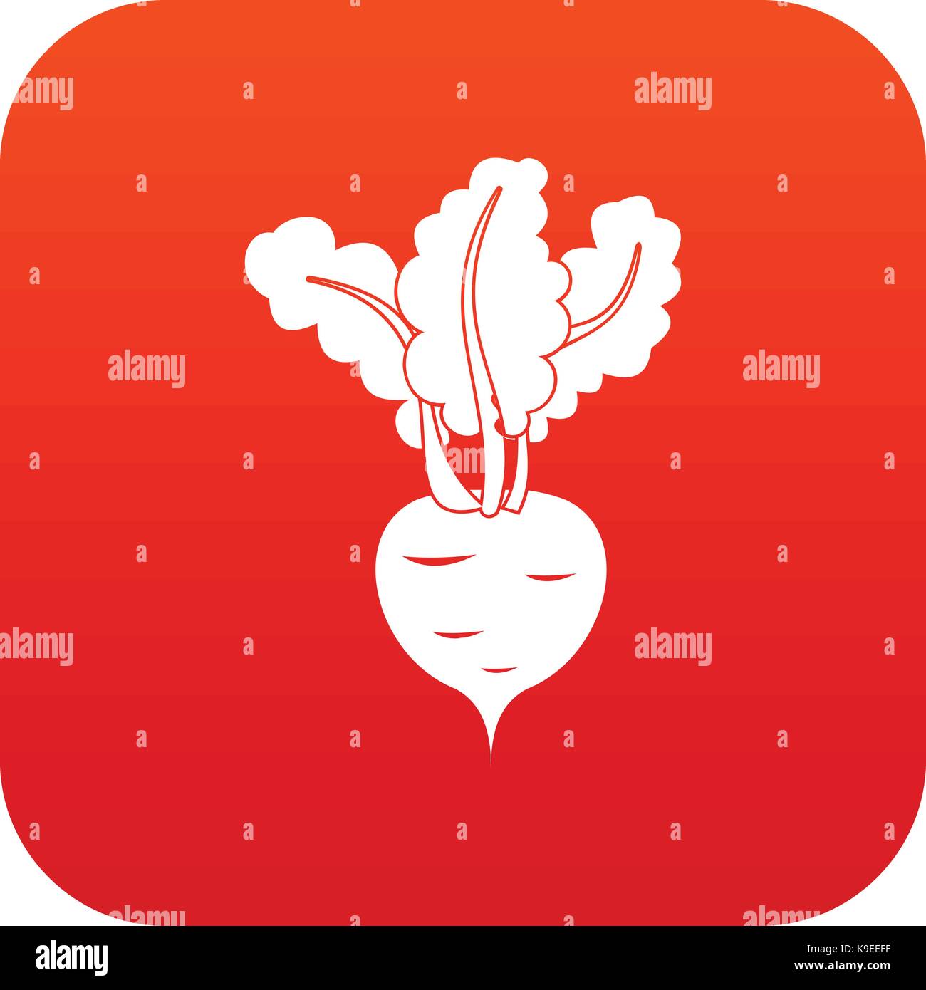 Fresh beetroot icon digital red Stock Vector Image & Art - Alamy