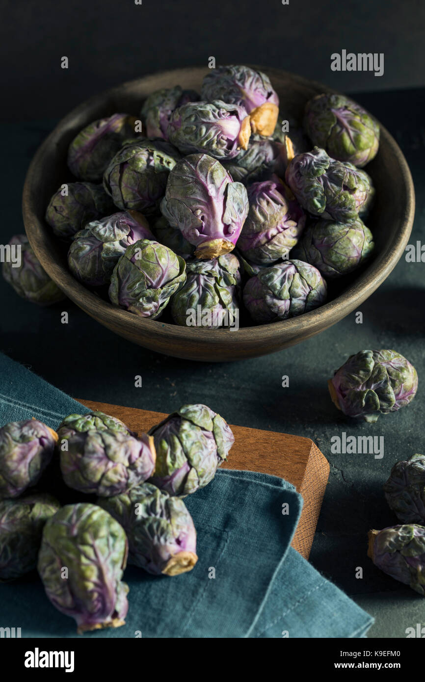 Purple sprouts hi-res stock photography and images - Alamy