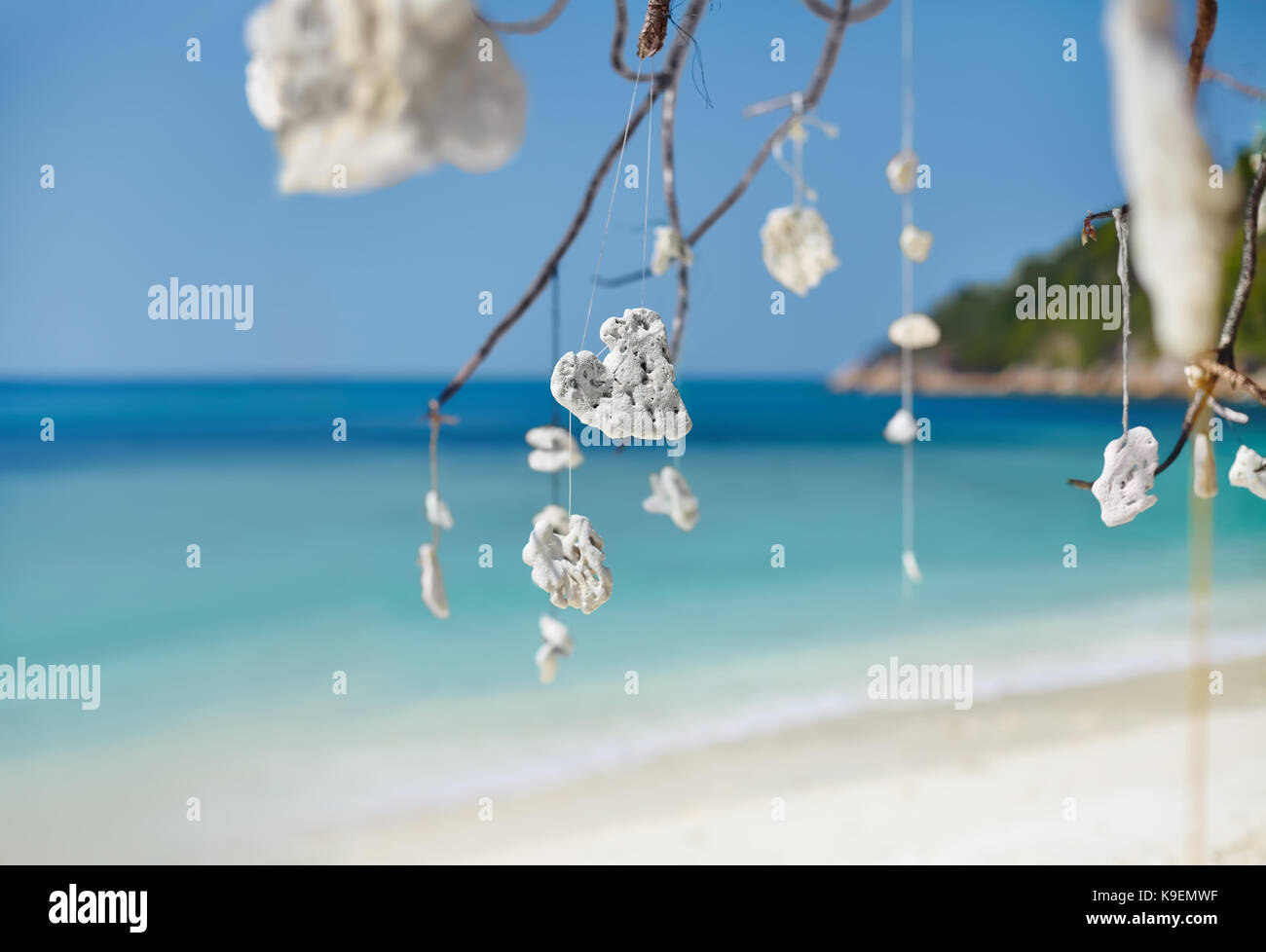 coral decoration on the tree on the beach. summer vacation Stock Photo ...