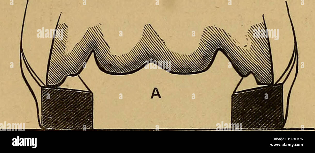 Horse taming hi-res stock photography and images - Alamy