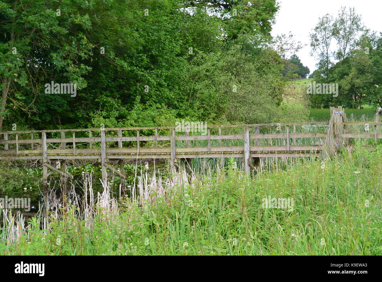 Small wooden bridge in Welsh countryside near Pumpsaint (Pumsaint Stock ...